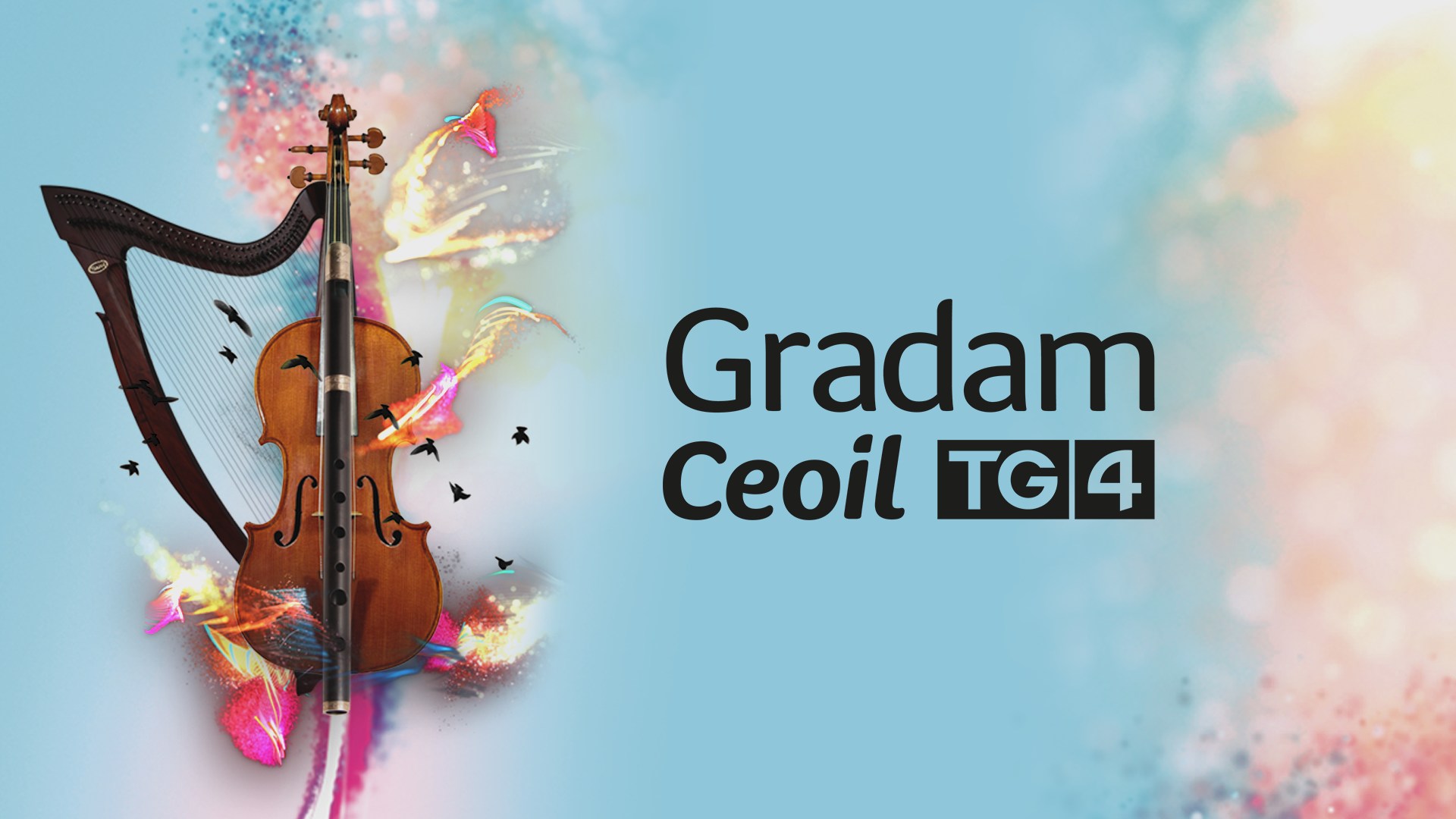TG4 | Gradam Ceoil TG4 2024 | Gradam Ceoil TG4 | Other Brands | Irish ...